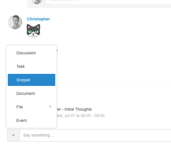 Working with Snippets. Procedure, options and hints